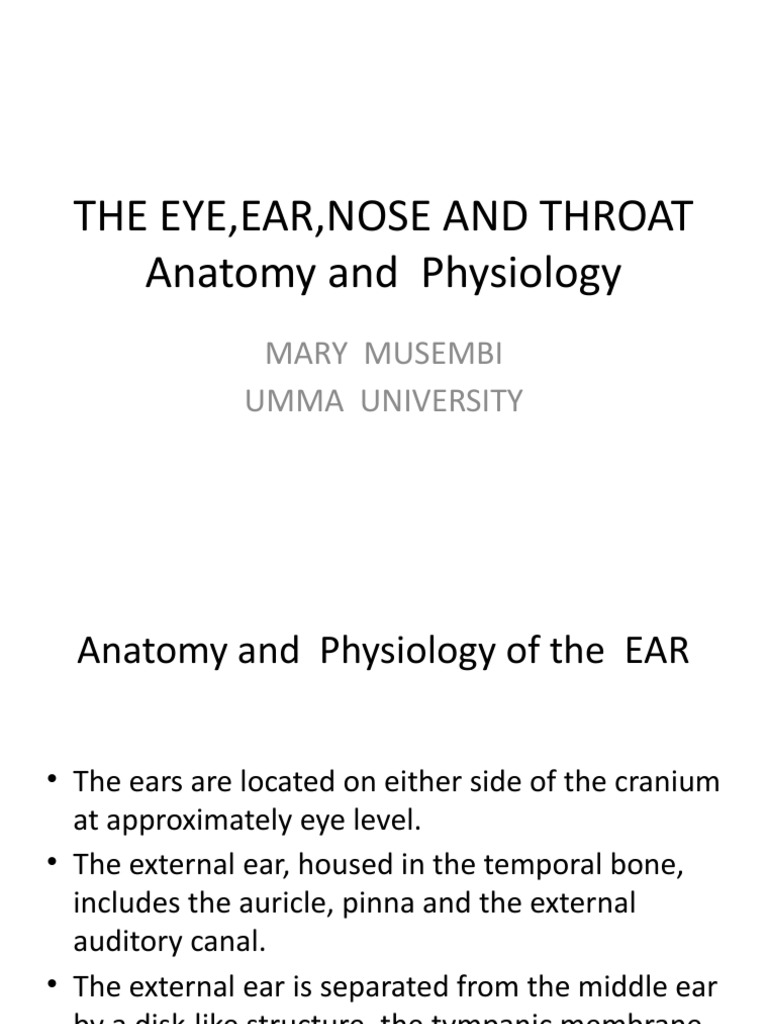 Assessment of Ear, Eye, Nose and Throat | Download Free PDF | Ear ...