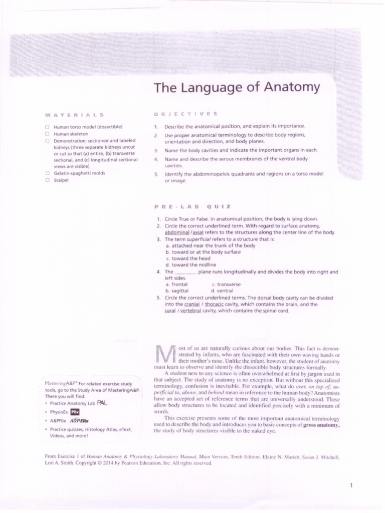 Anatomy Lab Language of Anatomy | PDF