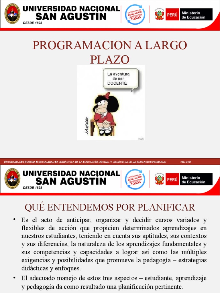 Long-Term Program Planning: An Overview of Key Aspects and ...