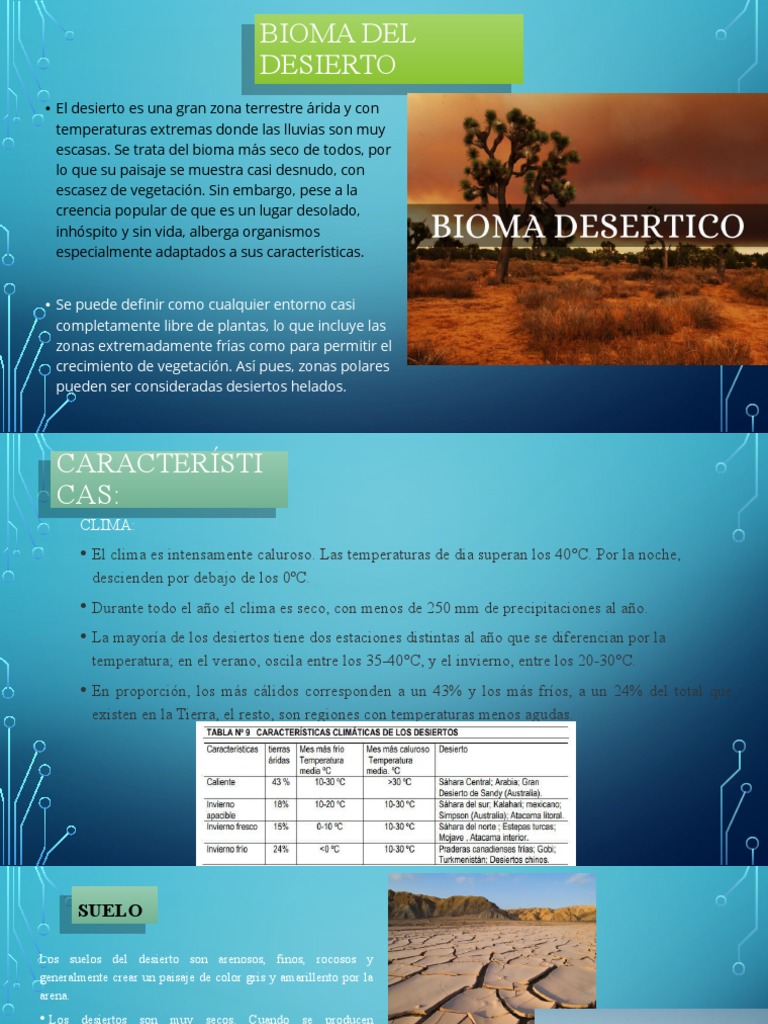 Características del Bioma Desierto | PDF | Desierto | Clima