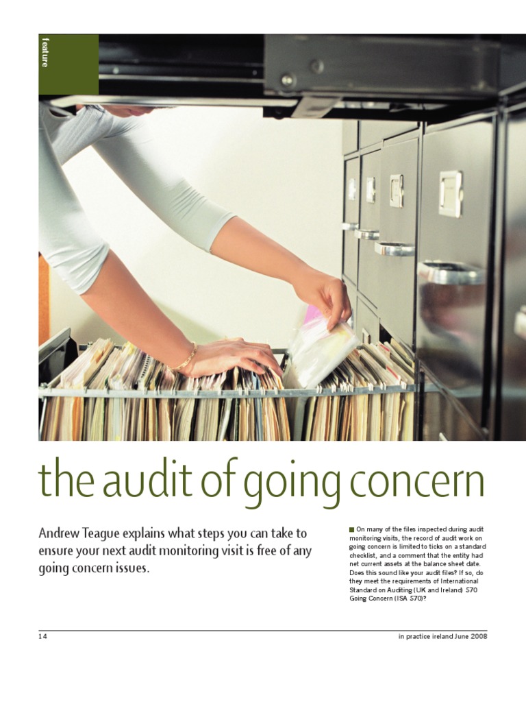 Going Concern | PDF | Going Concern | Audit