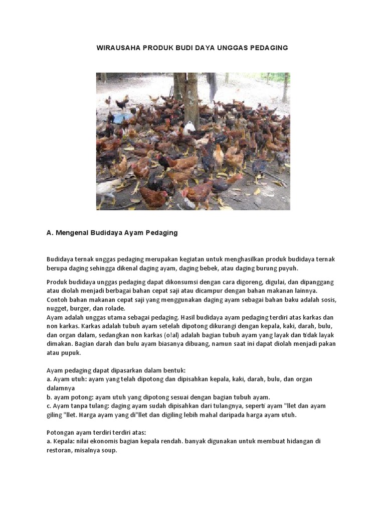 Budidaya Unggas Pedaging | PDF
