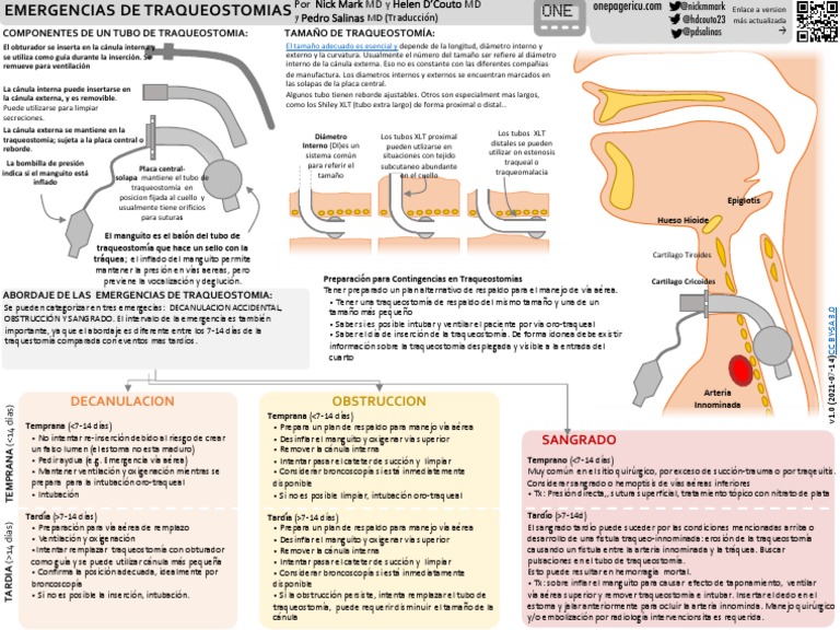ICU One Pager Tracheostomy Emergencies Spanish | PDF | Medicina CLINICA ...
