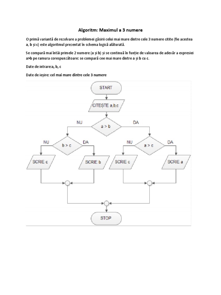 Exemple Algoritmi | PDF