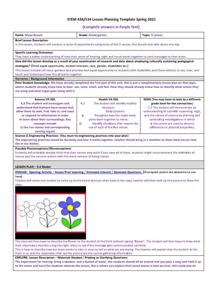 5e Lesson Planning Template Spring 2021 4 4 | PDF | Nerve | Senses