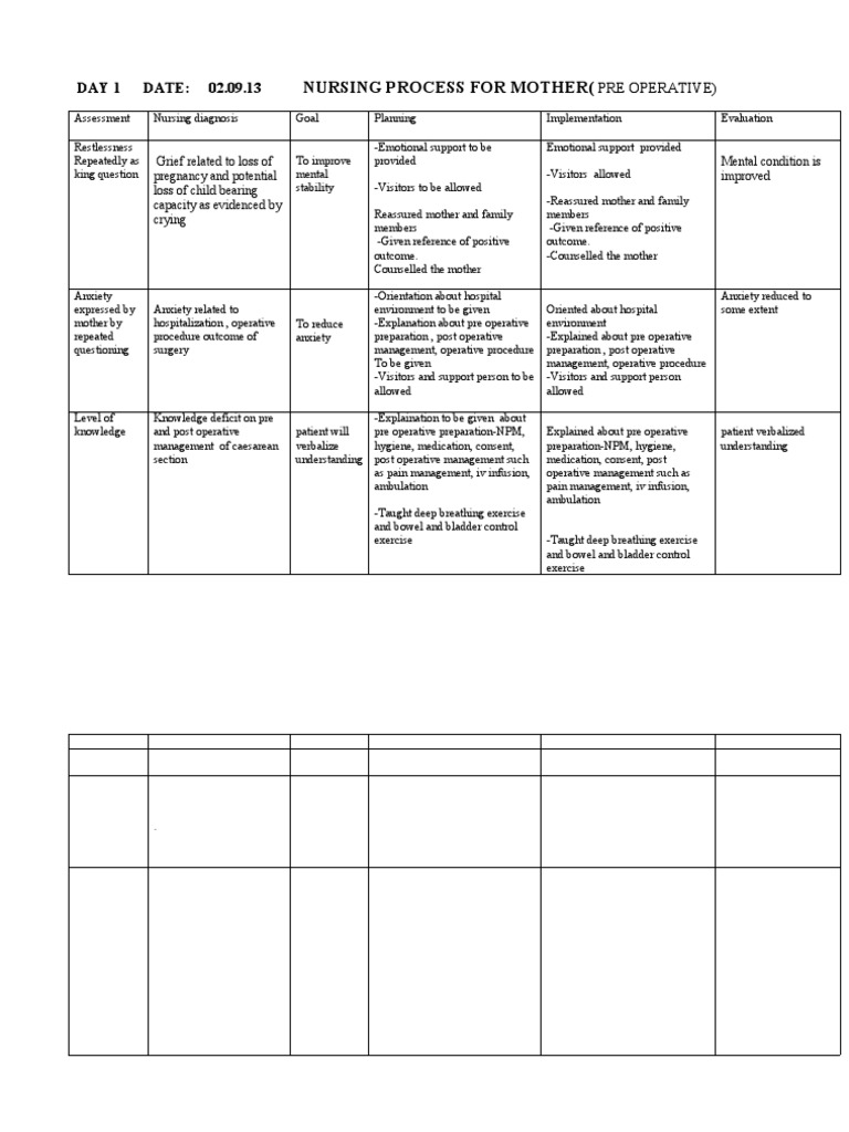 Nursing Process Septate Uterus | PDF | Urinary Bladder | Anxiety