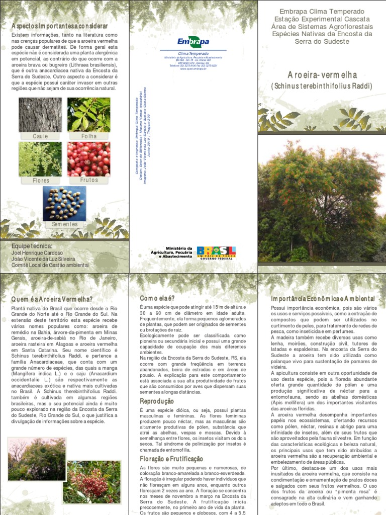 Aroeira Vermelha: Características e Usos | PDF | Organismos | Plantas