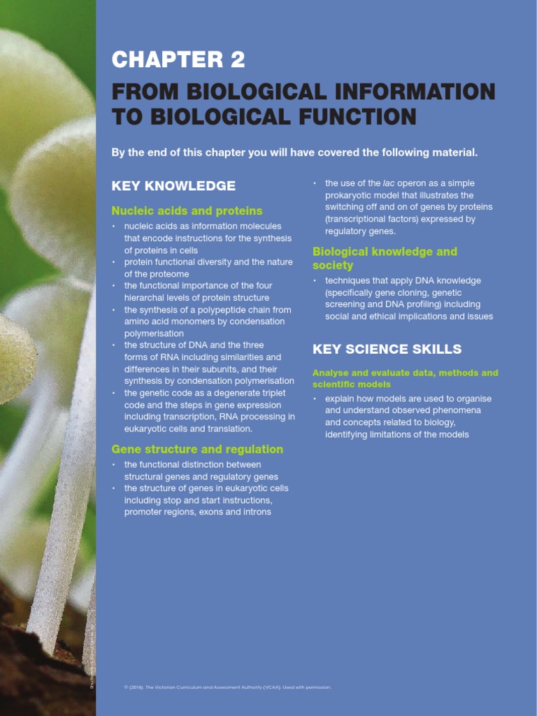Vce Bio 34 Chapter 2 For Early Entry Test 1 2 | PDF | Nucleic Acids | Gene