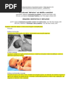 Holliday Segar | PDF