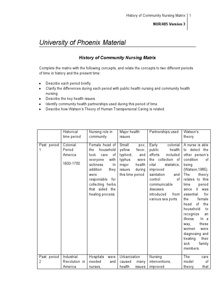 History of Nursing Matrix | PDF | Business
