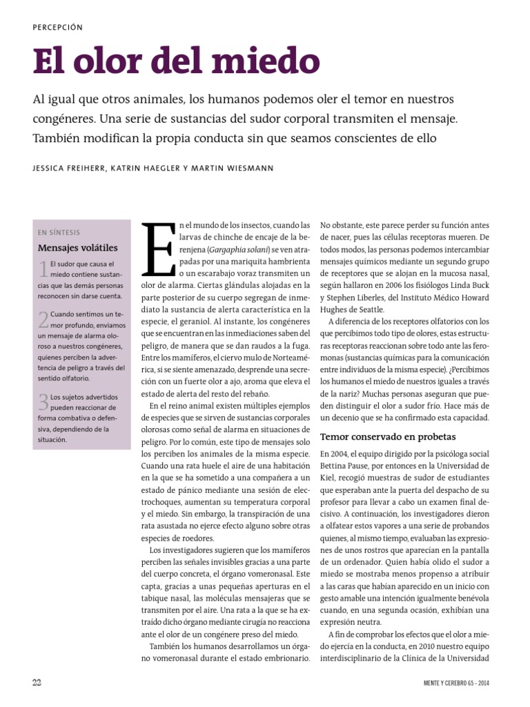 El olor del miedo en humanos | PDF | Temor | Cerebro