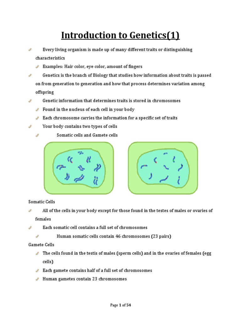 1A - Genetics Notes (MAIN) | PDF | Meiosis | Dominance (Genetics)