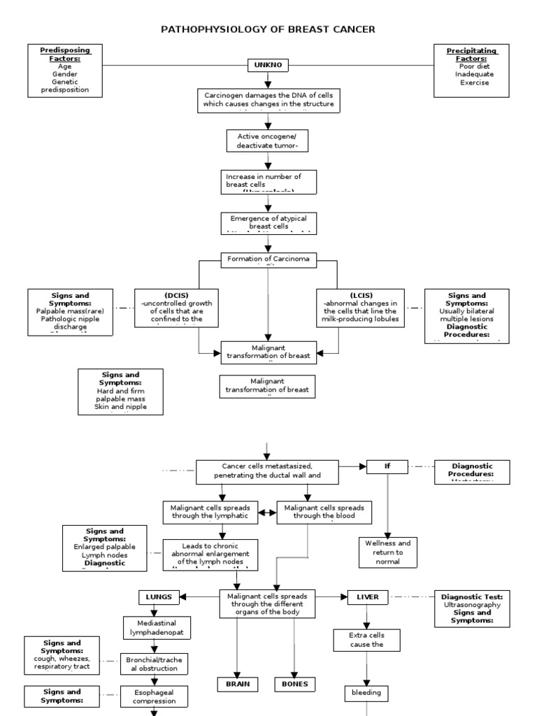 Pathophysiology of Breast Cancer: Unkno Predisposing Factors ...