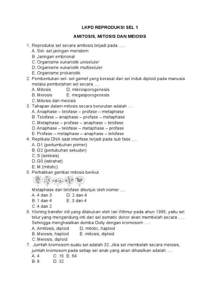 LKPD Reproduksi Sel 1 | PDF