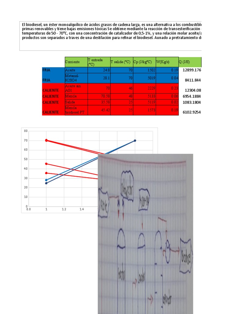 Examen Pinch Excel | PDF | Biodiésel | Petróleo