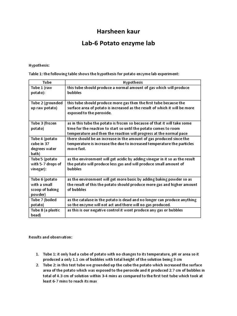 Lab-6 Potato Enzyme Lab | PDF | Catalase | Gases