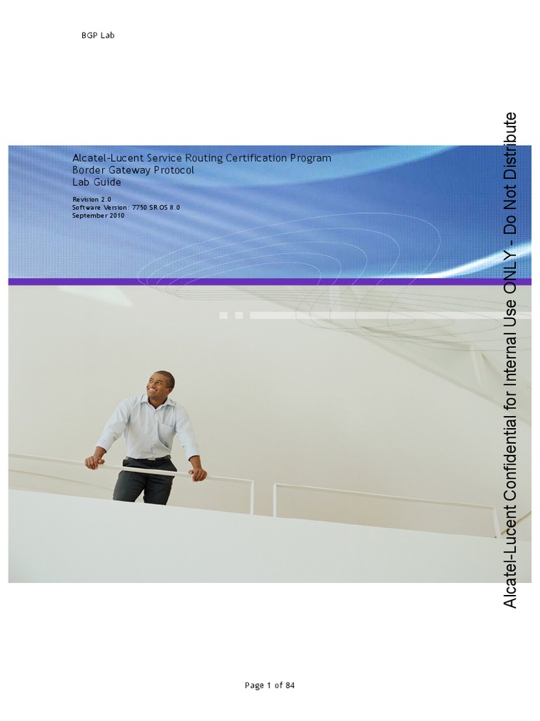 Alcatel-Lucent Border Gateway Protocol Lab Guide v2-0 DL | PDF | Router (Computing) | Ip Address