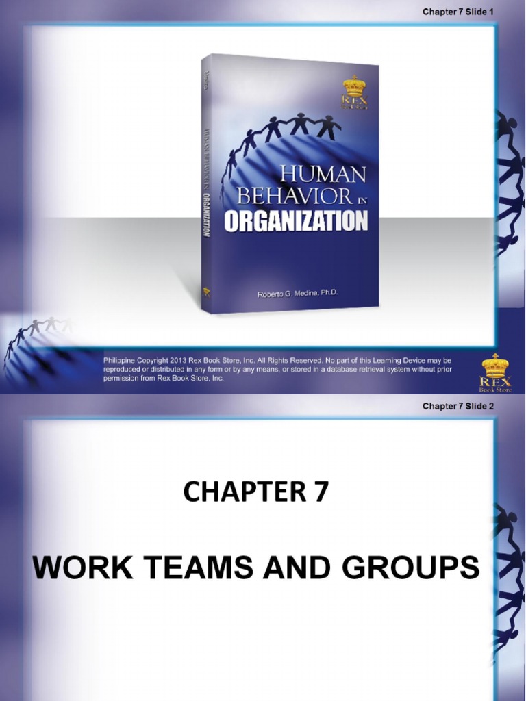 Hbo Chapter 8 Group, Team and Work Group Behavior | PDF