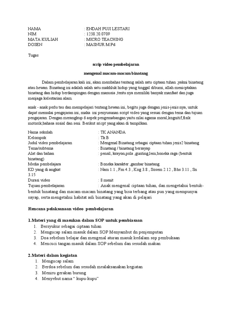 Endah P.L, Script Video Pembelajaran | PDF