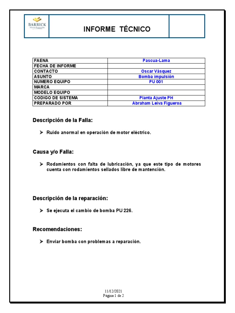 Formato Informe Tecnico | PDF