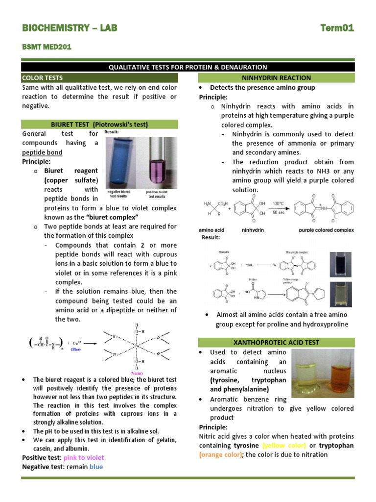 Ninhydrin Reaction in Protein Analysis | PDF | Denaturation ...