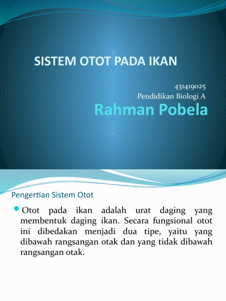 RAHMAN POBELA - PPT Sistem Otot Pada Ikan | PDF | Pengembangan Diri | Kesehatan Holistik