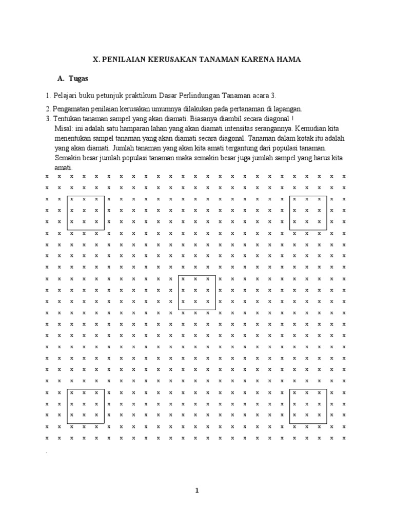 Penilaian Kerusakan Tanaman Hama | PDF
