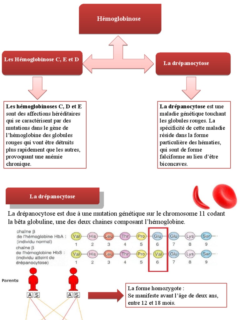 Hémoglobinose : Drépanocytose et Types | PDF | Hémoglobine | Anémie