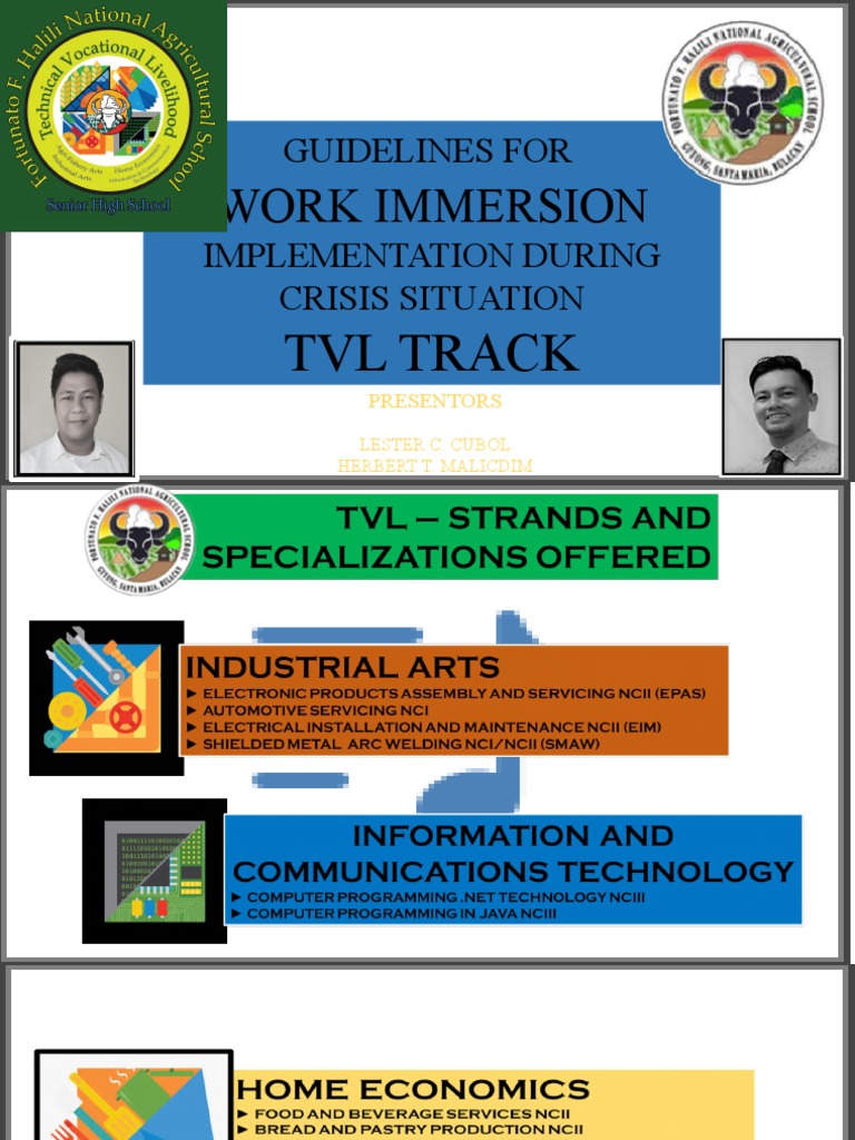 Work Immersion Animation | PDF