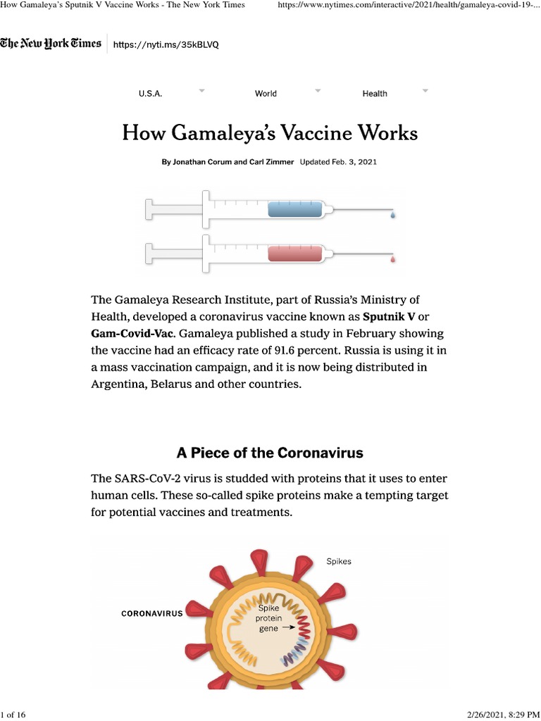 How Gamaleya's Sputnik V Vaccine Works | PDF | Immunology | Health Policy