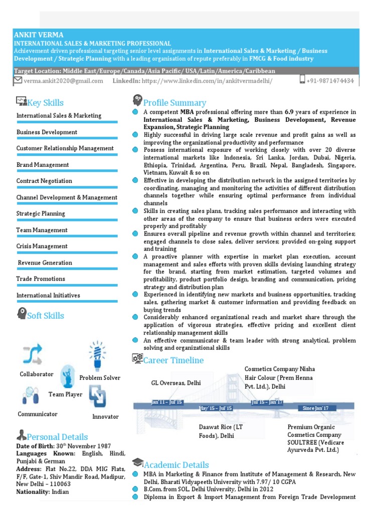 Key Skills Profile Summary: Ankit Verma | PDF | Marketing | Sales