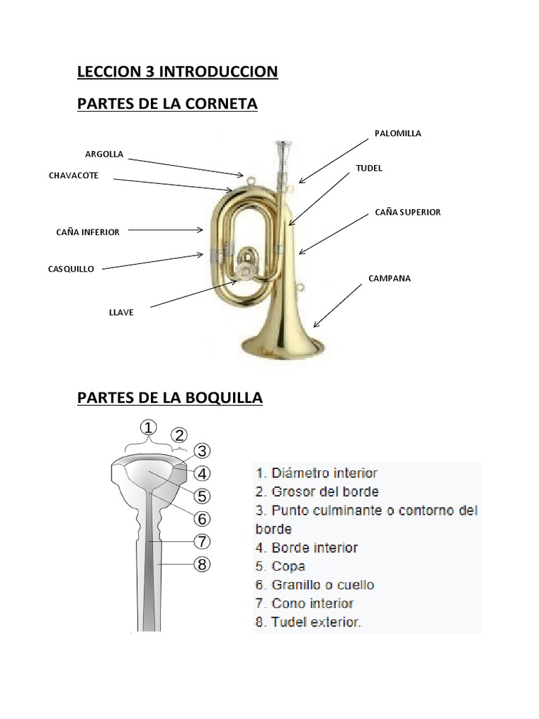 Leccion 3 Introduccion - Corneta | PDF