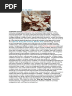 3P Peraturan Fama | PDF