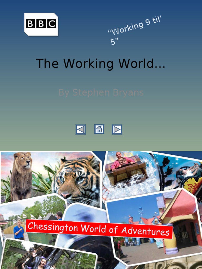 The Working World | PDF