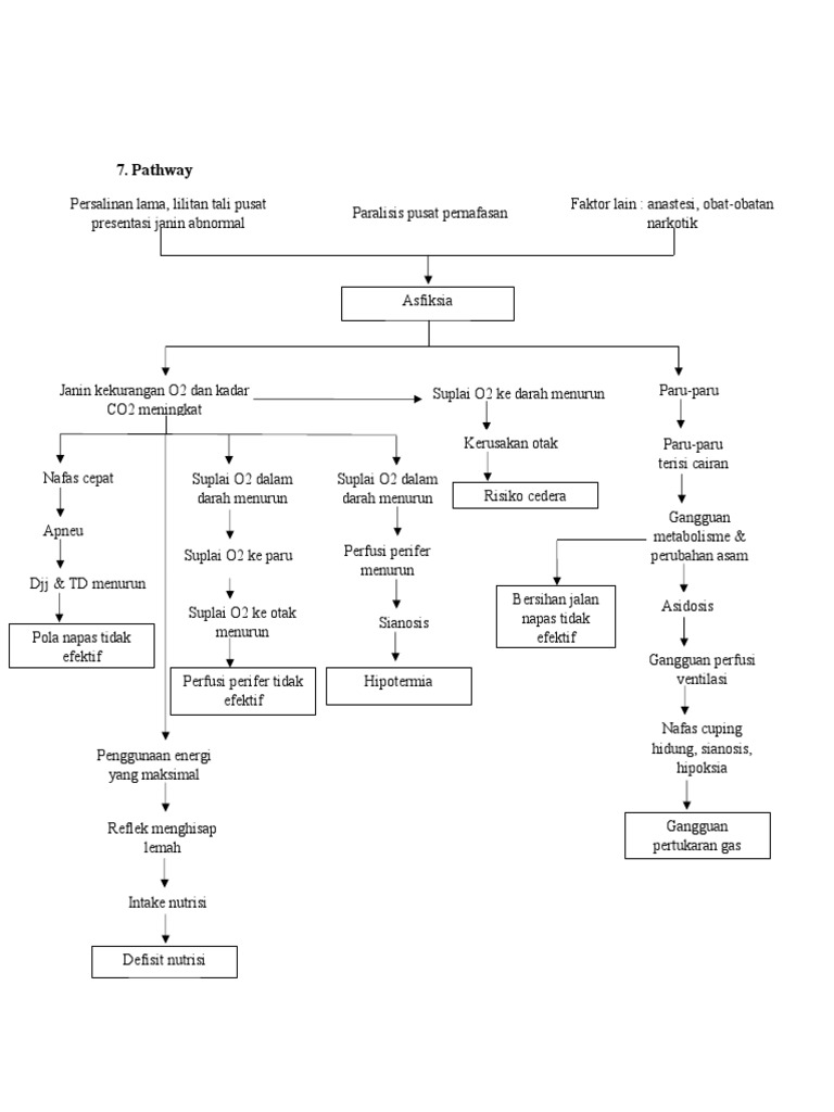 Pathway Asfiksia | PDF