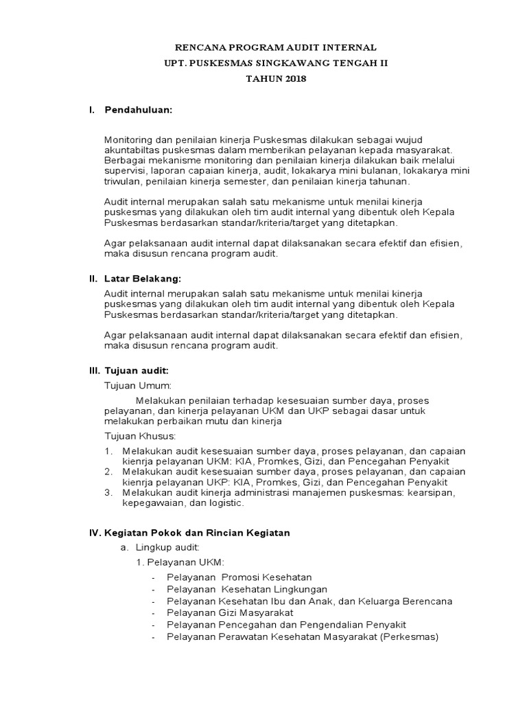 Rencana Program Audit Internal | PDF