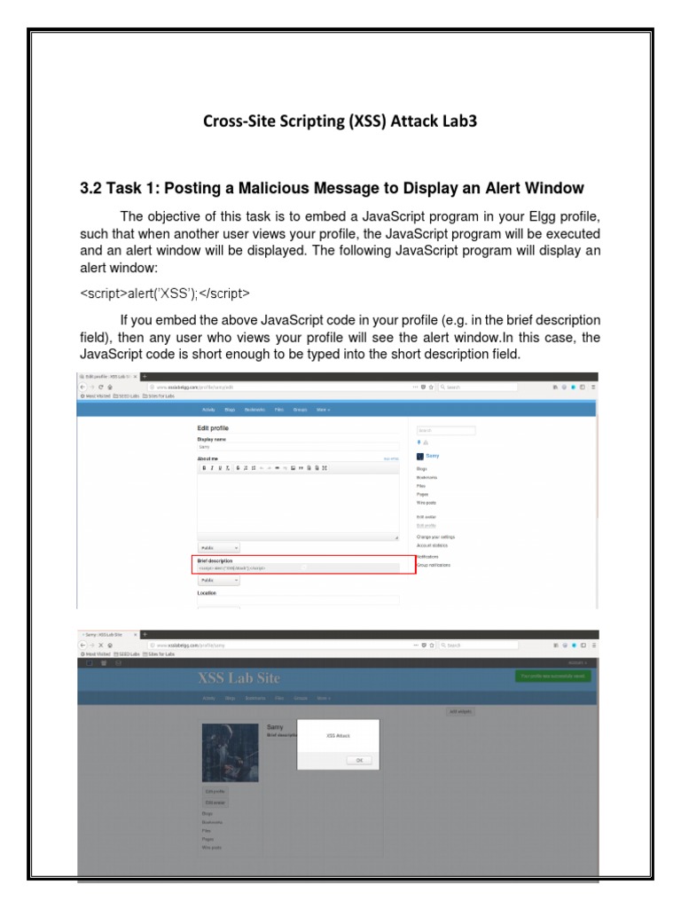 Seed Lab | PDF | Http Cookie | Java Script