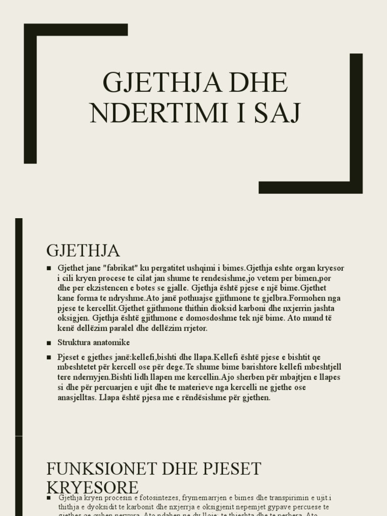Gjethja Dhe Ndertimi I Saj | PDF