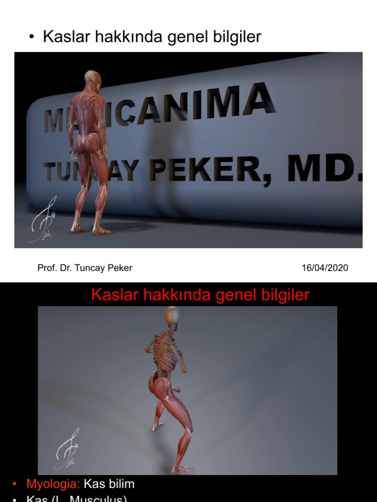 Kaslar Hakkında Genel Bilgiler | PDF