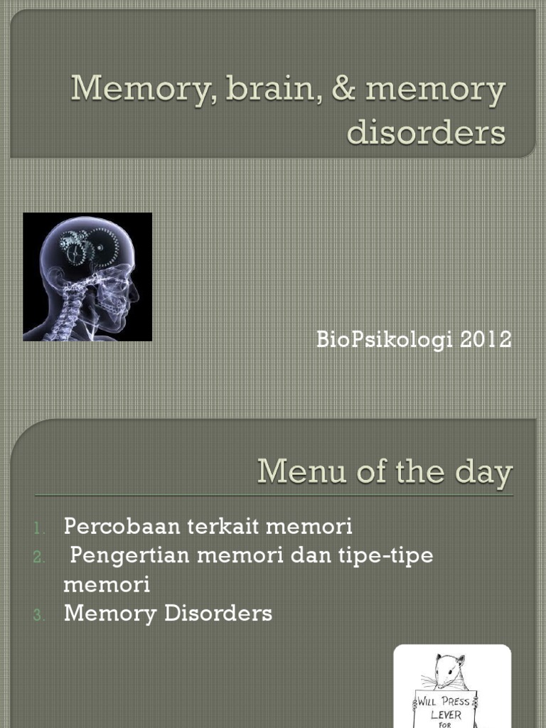 Memori dan Gangguan dalam BioPsikologi | PDF | Pengembangan Diri