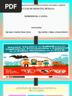 Prospecto NIFURYL | PDF | Infección del tracto urinario ...