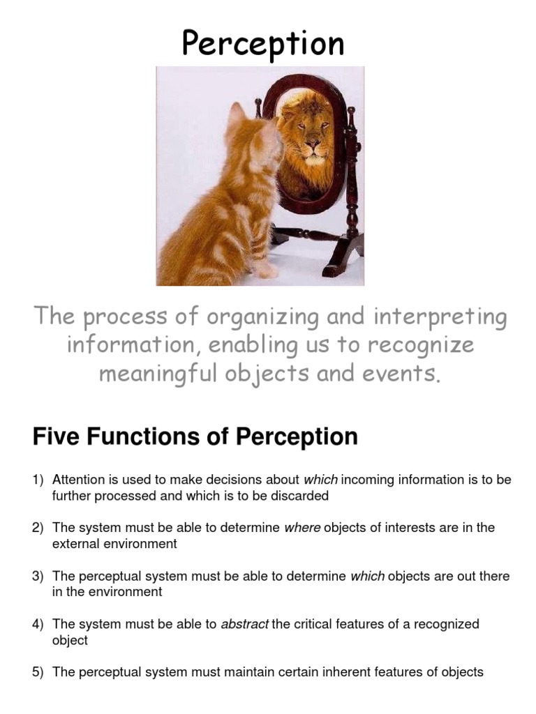 Perception | PDF | Perception | Attention