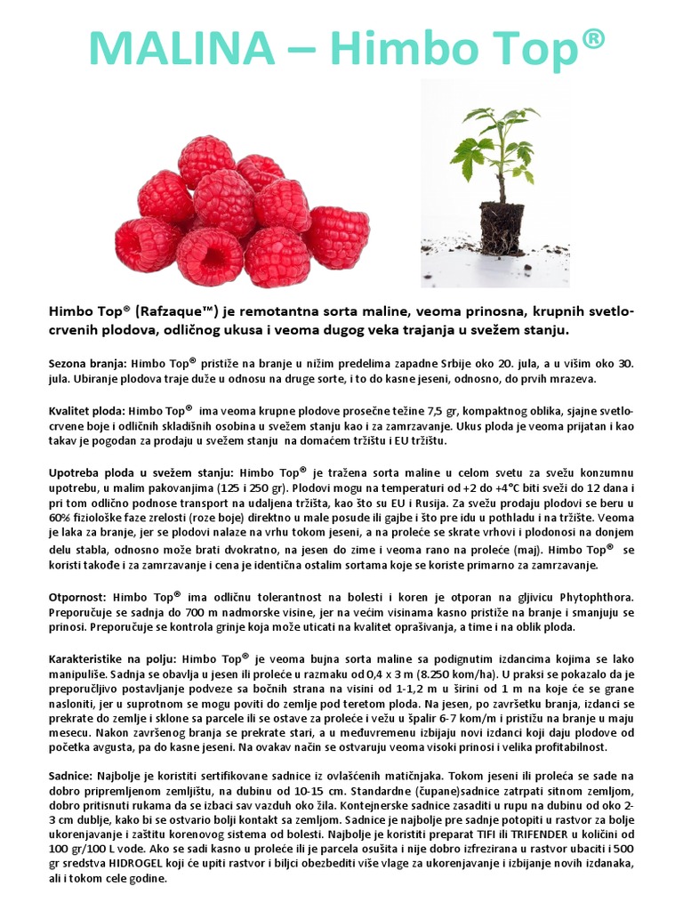 Karakteristike Malina | PDF