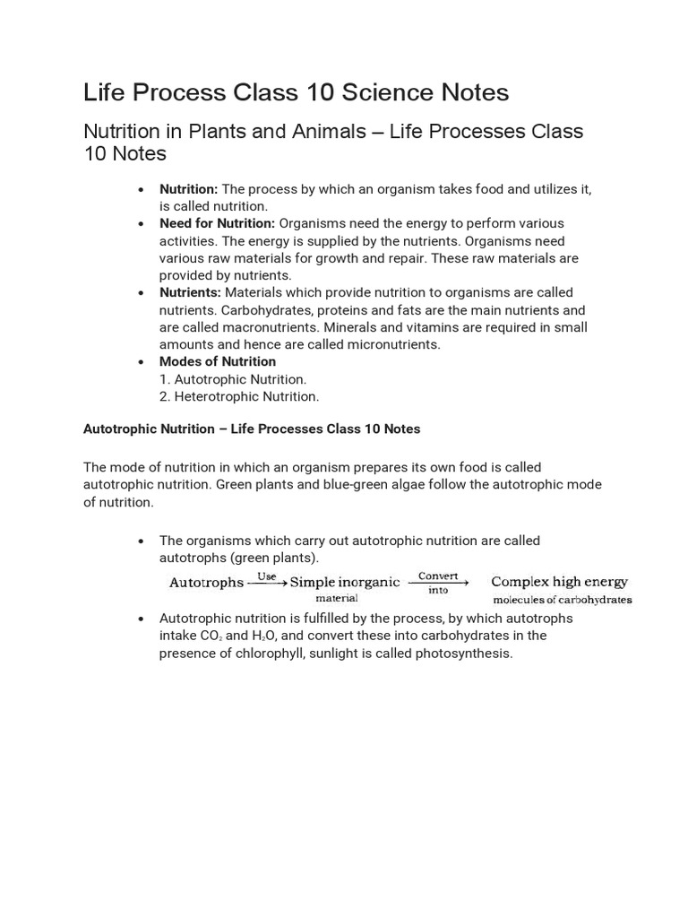 Life Process Class 10 Science Notes | PDF | Cellular Respiration ...