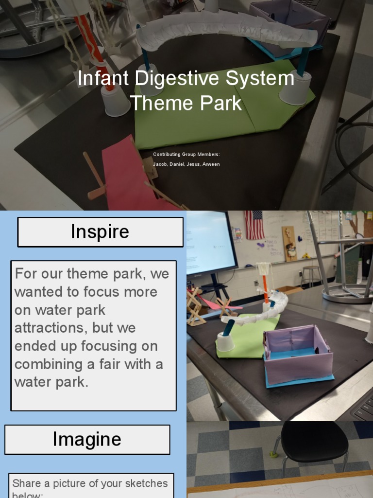 Digestive System Amusement Park | PDF