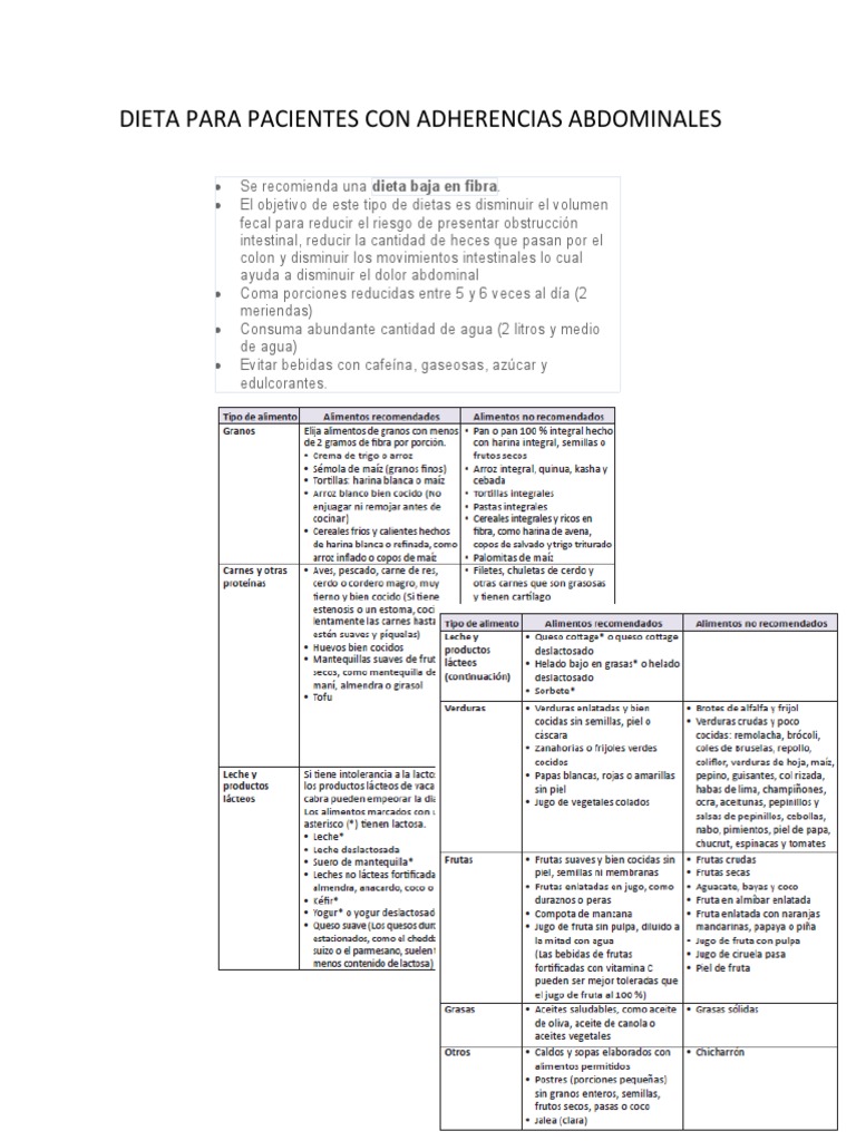 Dieta para Los Que Presentan Bridas Intestinales. | PDF
