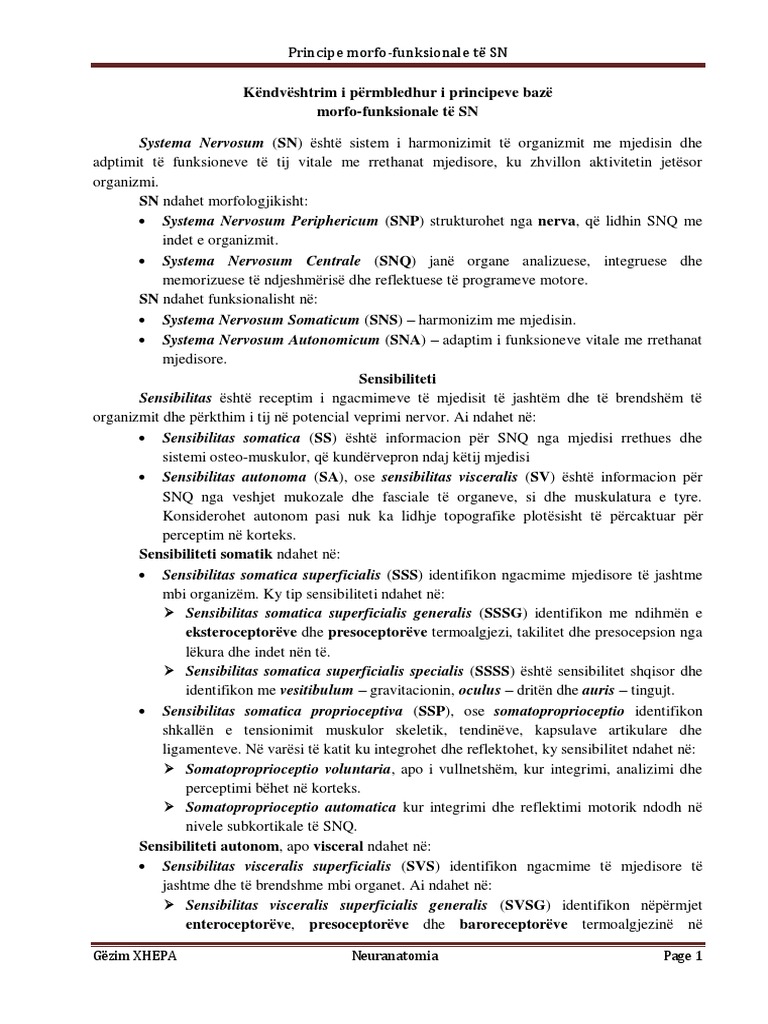 Neuro Anatomia | PDF