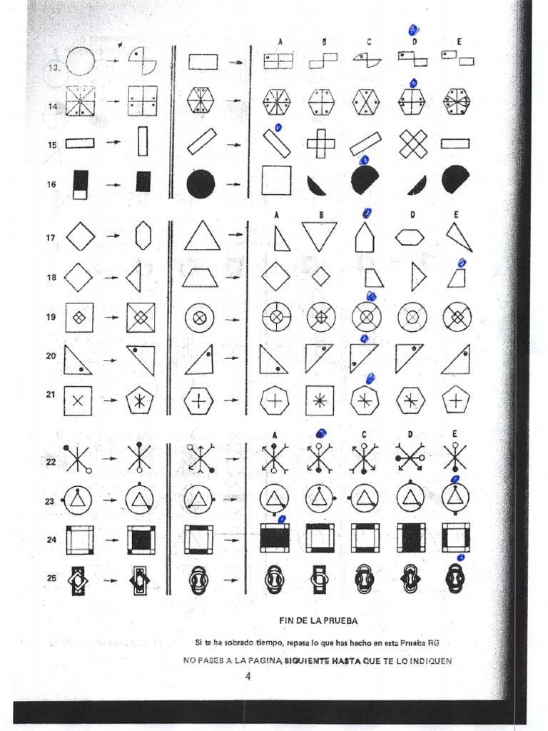 Pruebas Cognitivas | PDF