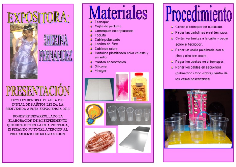 Tríptico de Experimento Científico Escolar | PDF