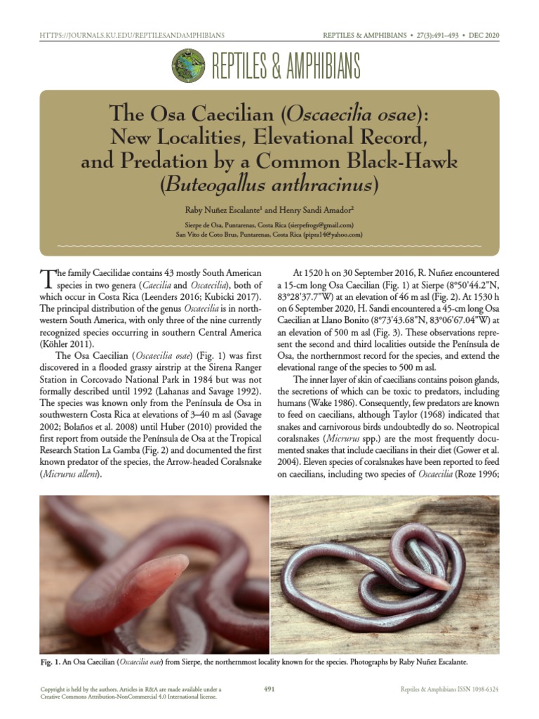 Reptiles & Amphibians | PDF | Amphibian | Zoology